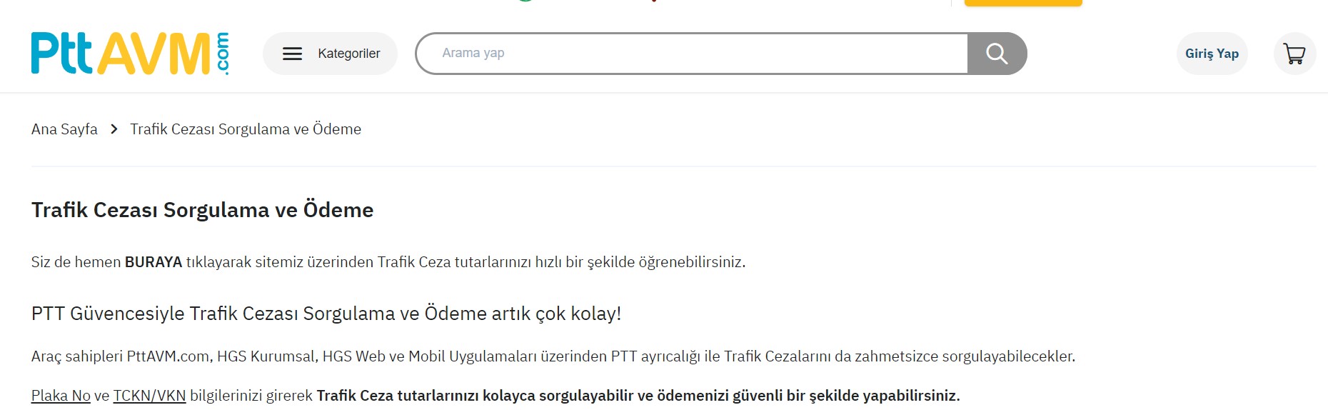 Trafik Cezası Sorgulama ve Ödeme Nasıl Yapılır? - KolayBi